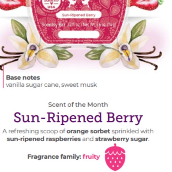Scentsy | Other | Sunripened Berry Scentsy Bar | Poshmark